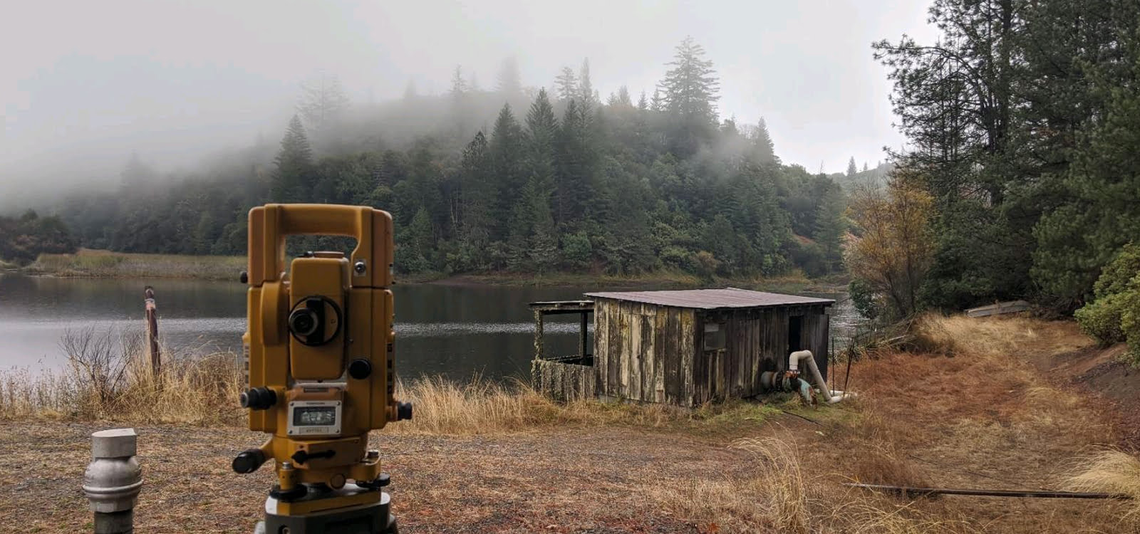 Home - Tall Tree Engineering